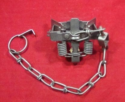 Sleepy Creek #1 Coil Spring Trap 4" Jaw Spread For Muskrat, Mink, And ...