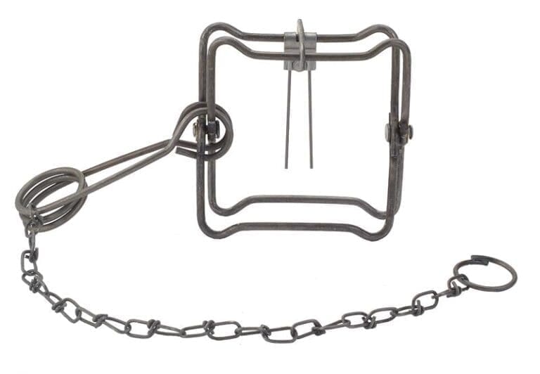 Duke Traps Archives - PcsOutdoors